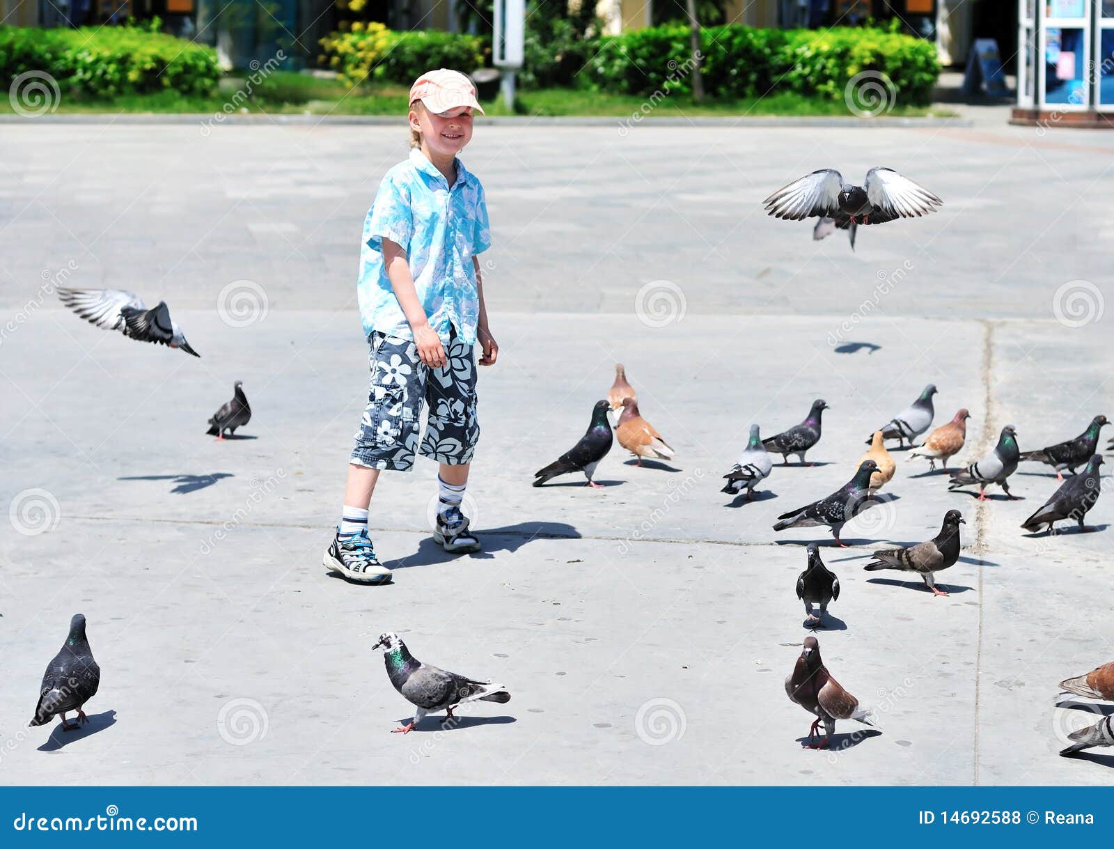 Boy with doves stock photo. Image of hand, play, people - 14692588