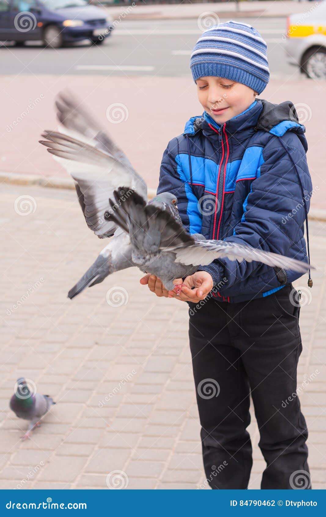 Boy with doves stock photo. Image of freedom, people - 84790462