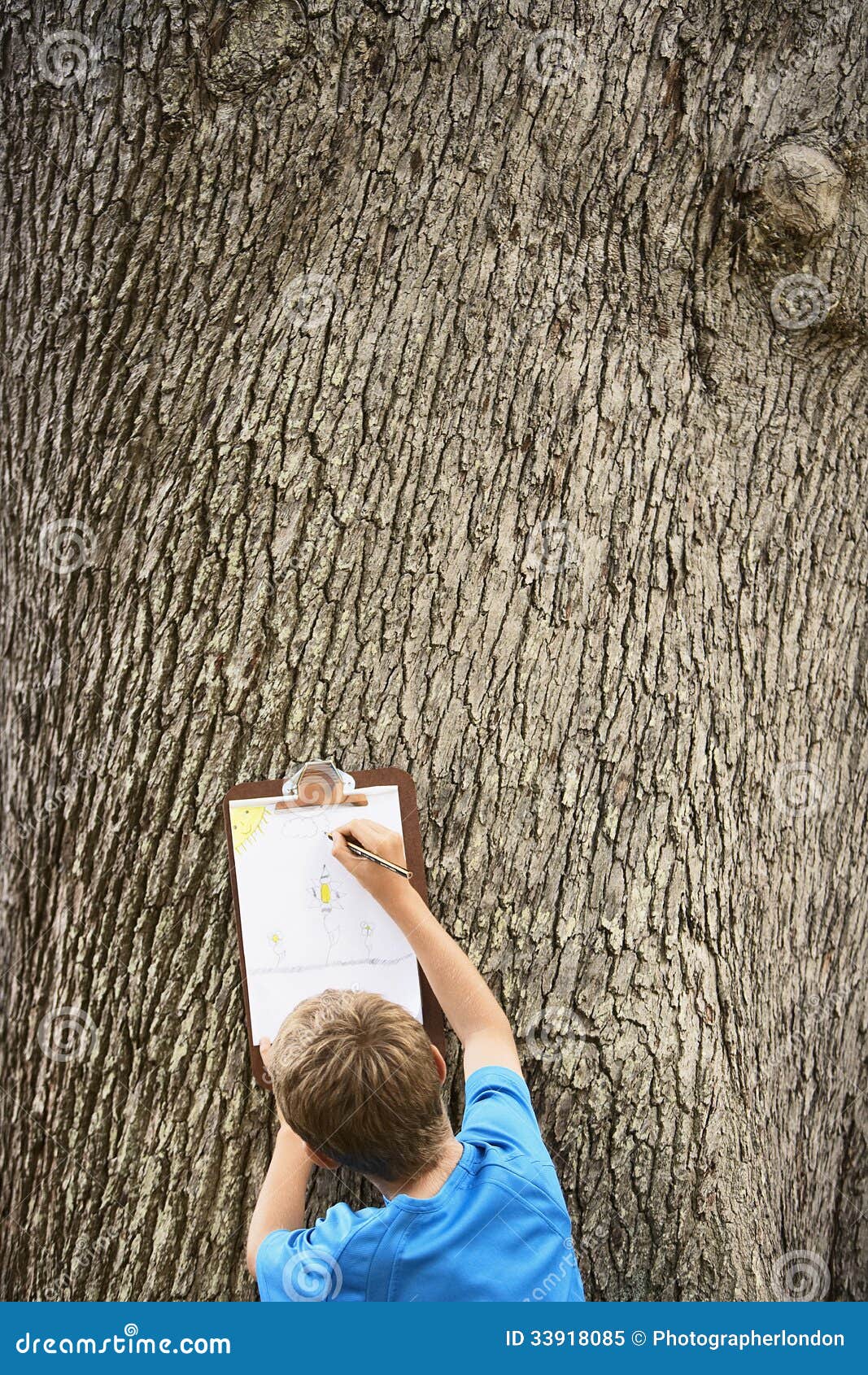 Boy Drawing by Tree Trunk stock image. Image of education - 33918085