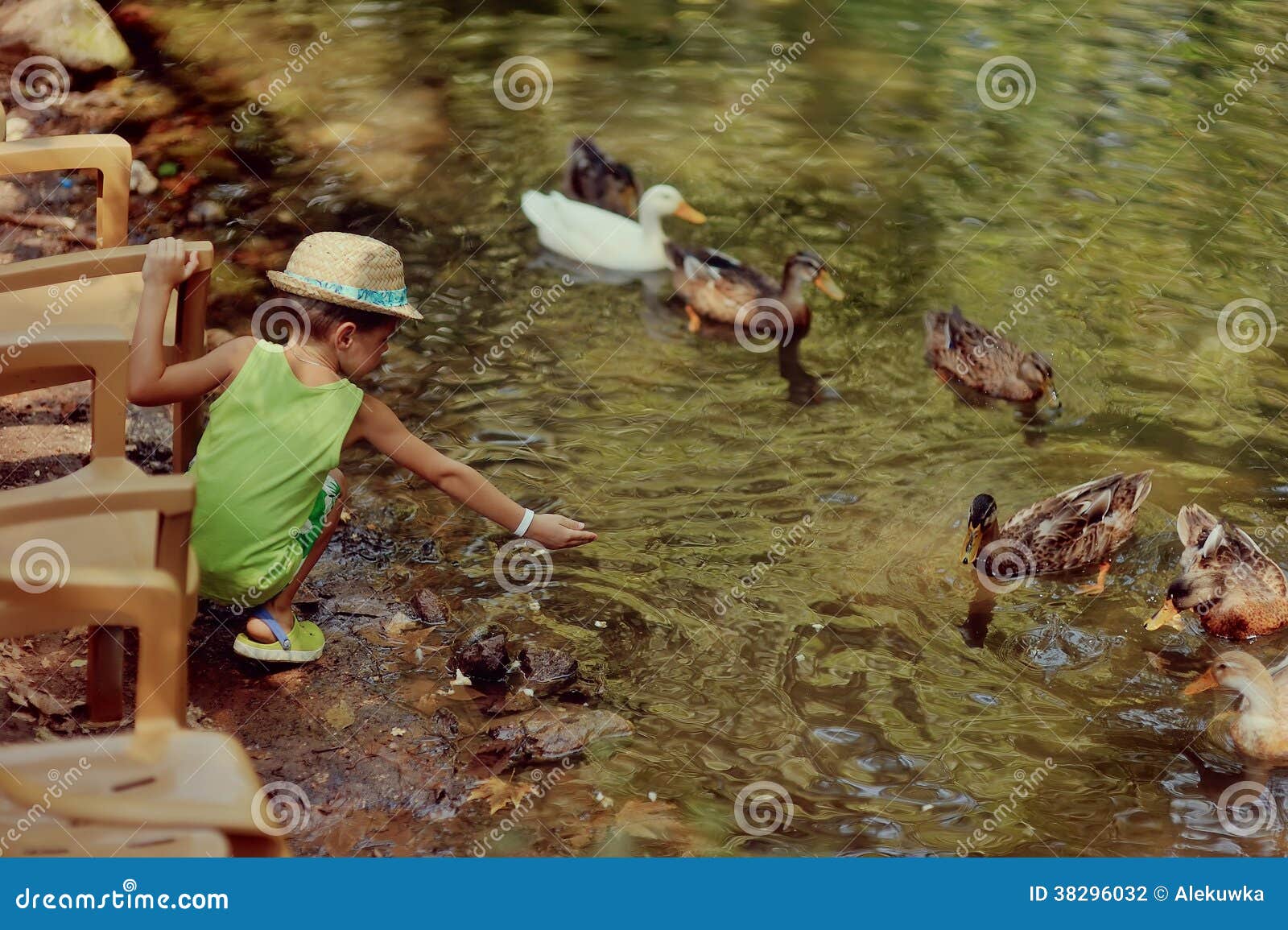Boy and duck stock photo. Image of playful, food, ideas - 38296032