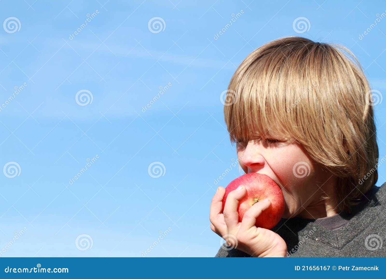 Boy eating an apple stock image. Image of blue, grey - 21656167