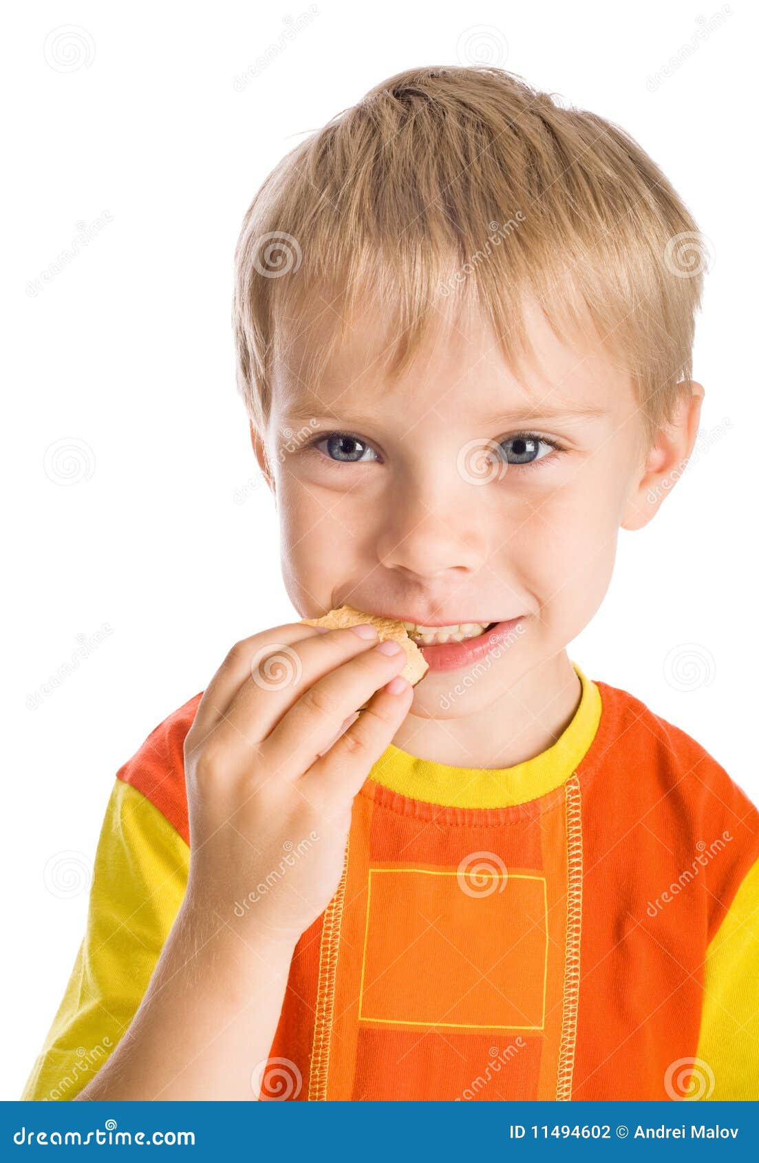 Boy eating cookie stock photo. Image of eating, snack - 11494602