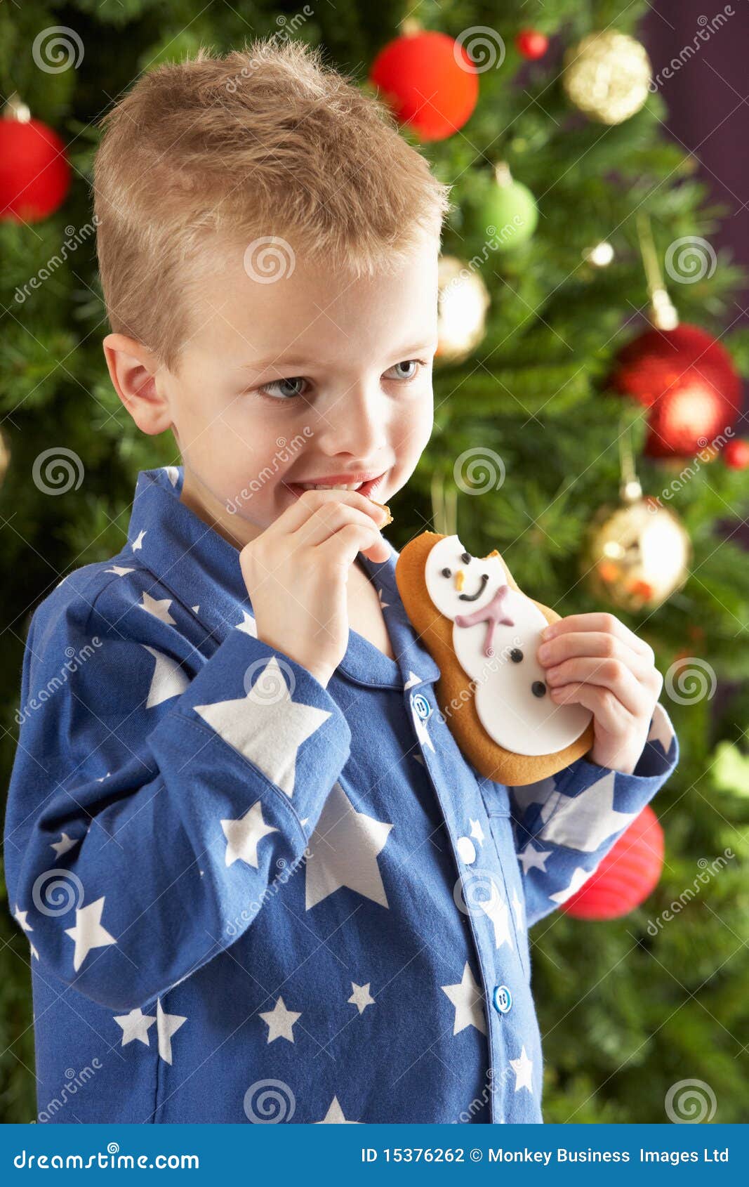 Boy Eating Cookie in Front of Christmas Tree Stock Photo - Image of ...