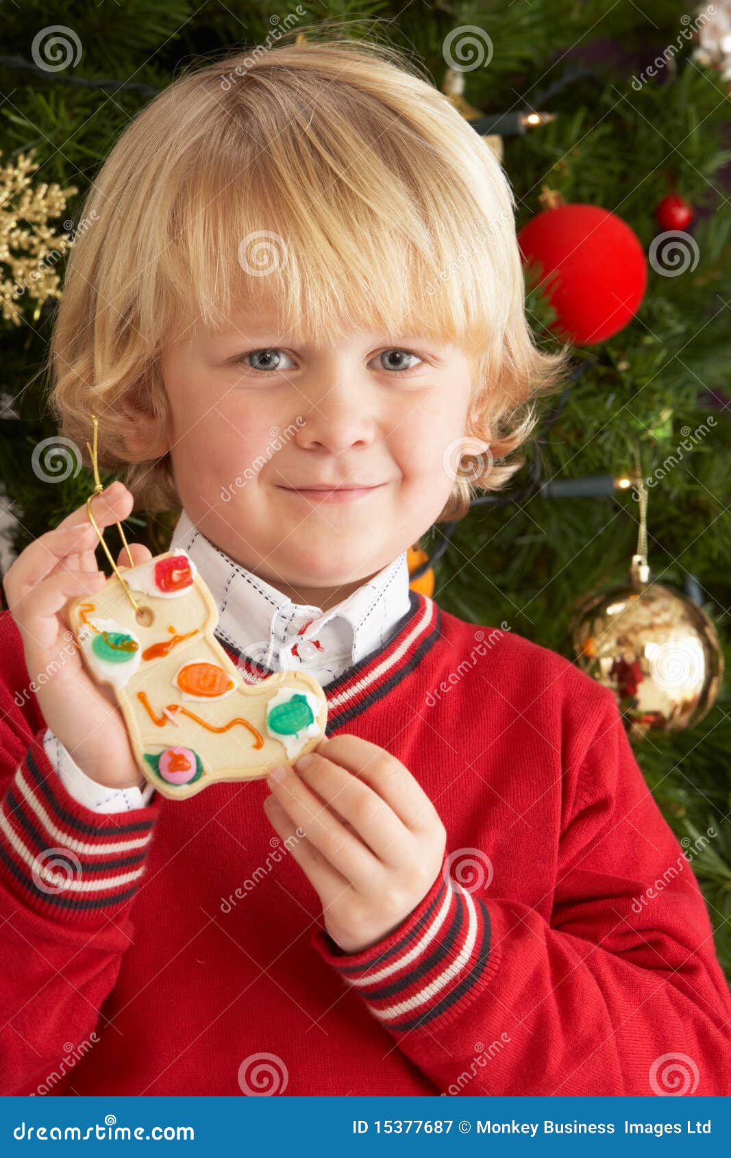 Boy Eating Cookie in Front of Christmas Tree Stock Image - Image of ...