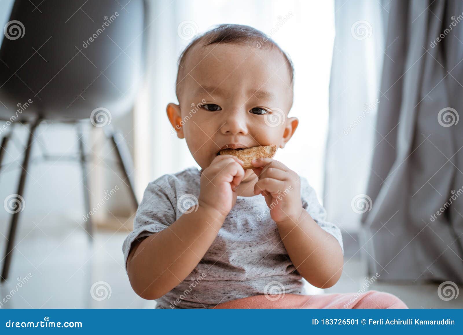 Boy eating cookies biscuit stock image. Image of love - 183726501