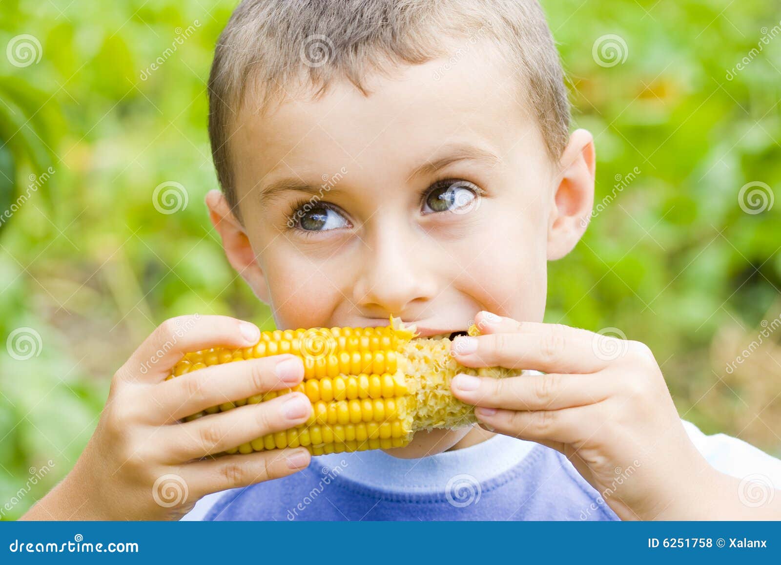 Boy eating corn stock photo. Image of summer, fiber, summertime - 6251758