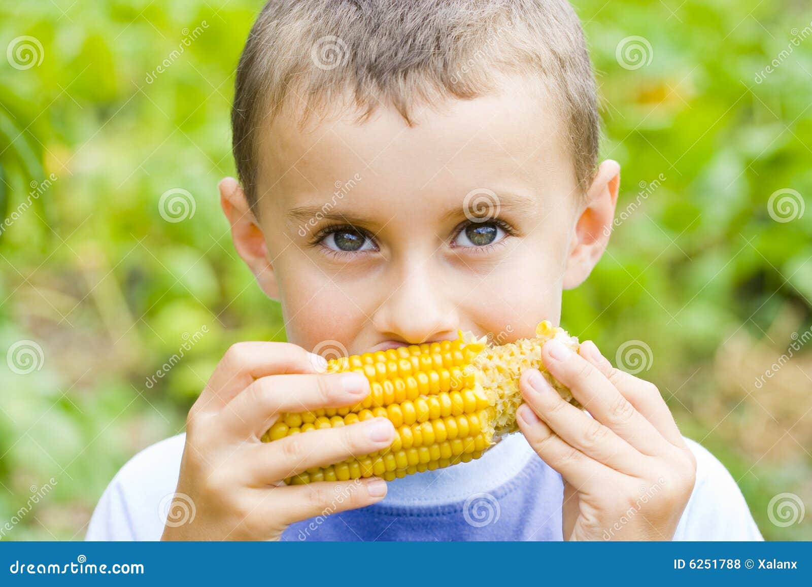 Boy eating corn stock photo. Image of food, vegetable - 6251788