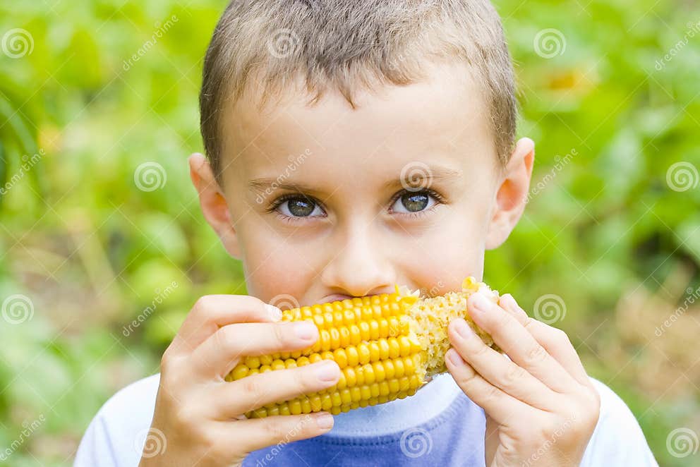 Boy eating corn stock photo. Image of food, vegetable - 6251788