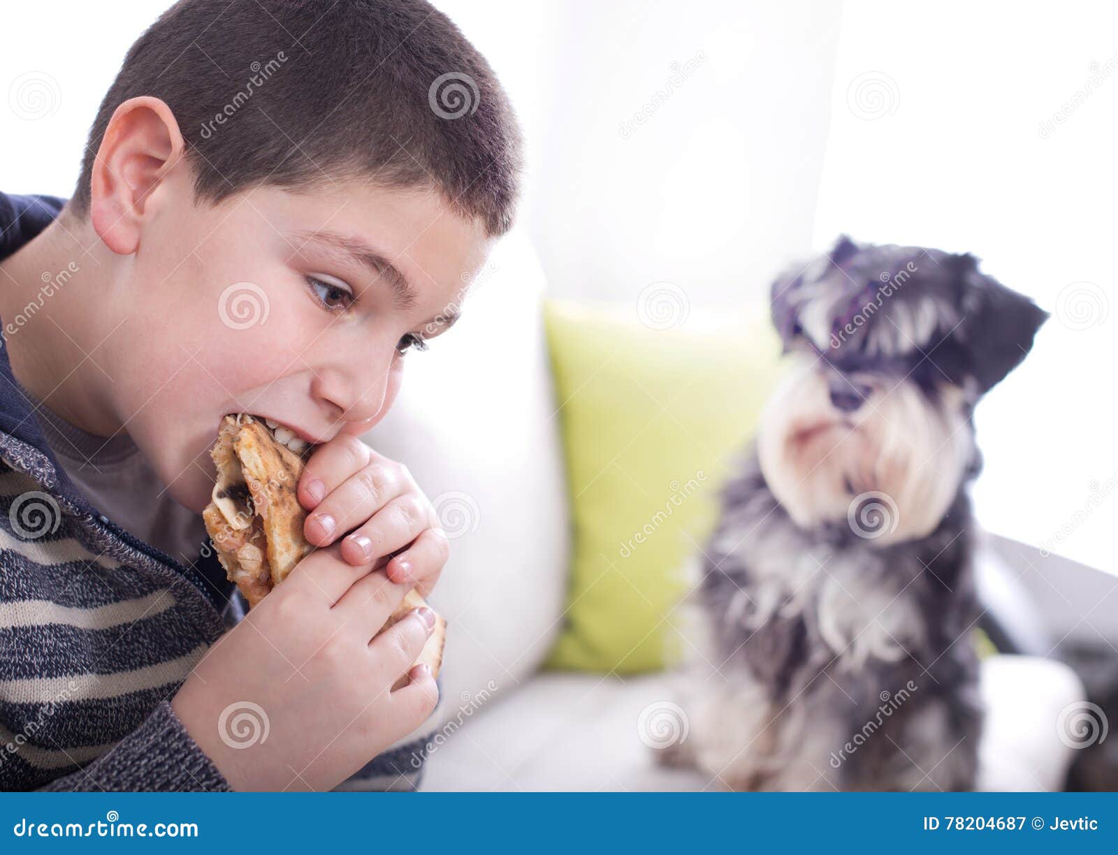 Boy Eating and Dog Watching at Him Stock Image - Image of cute, human ...