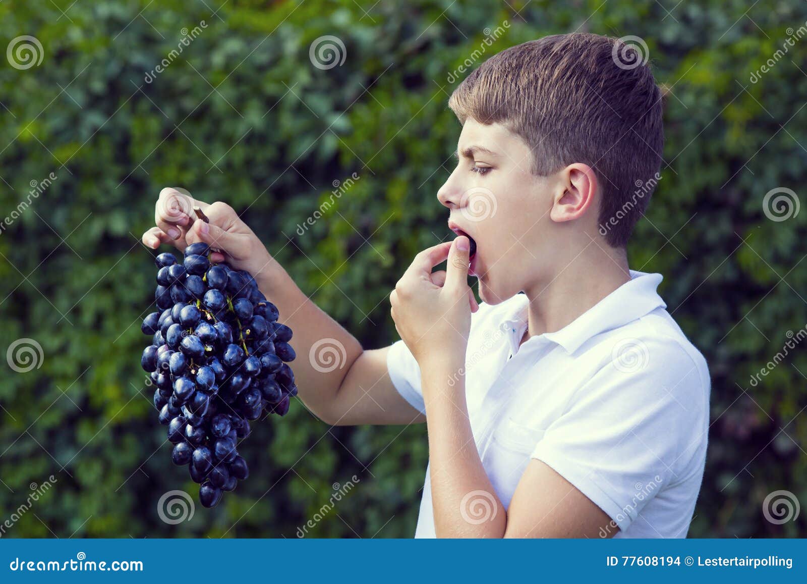 Boy eating grapes stock photo. Image of preschool, blue - 77608194