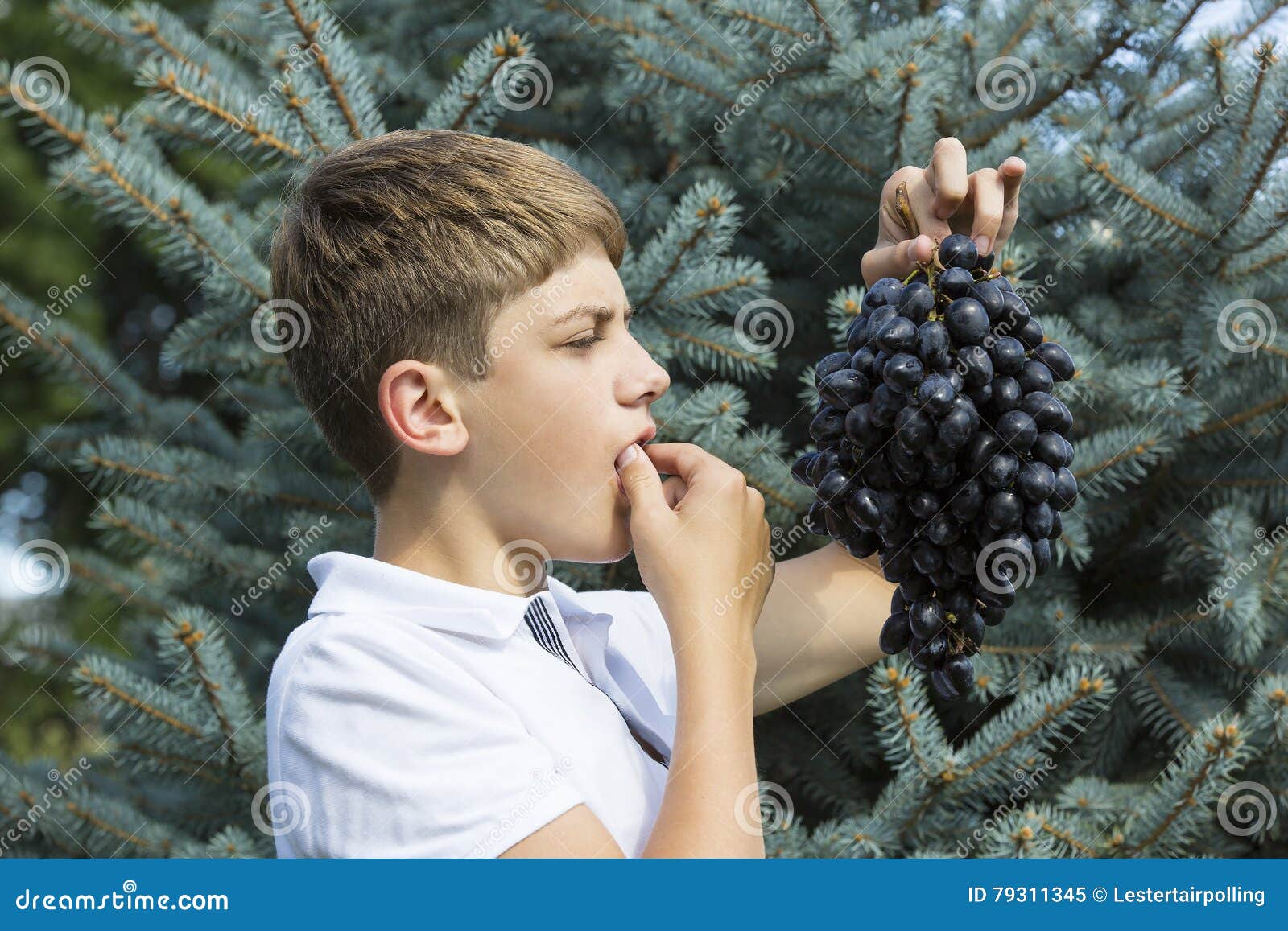 Boy eating grapes stock image. Image of preschool, life - 79311345