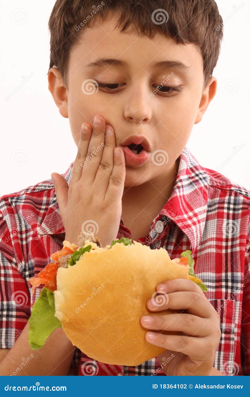 Boy eating hamburger stock photo. Image of junk, snack - 18364102