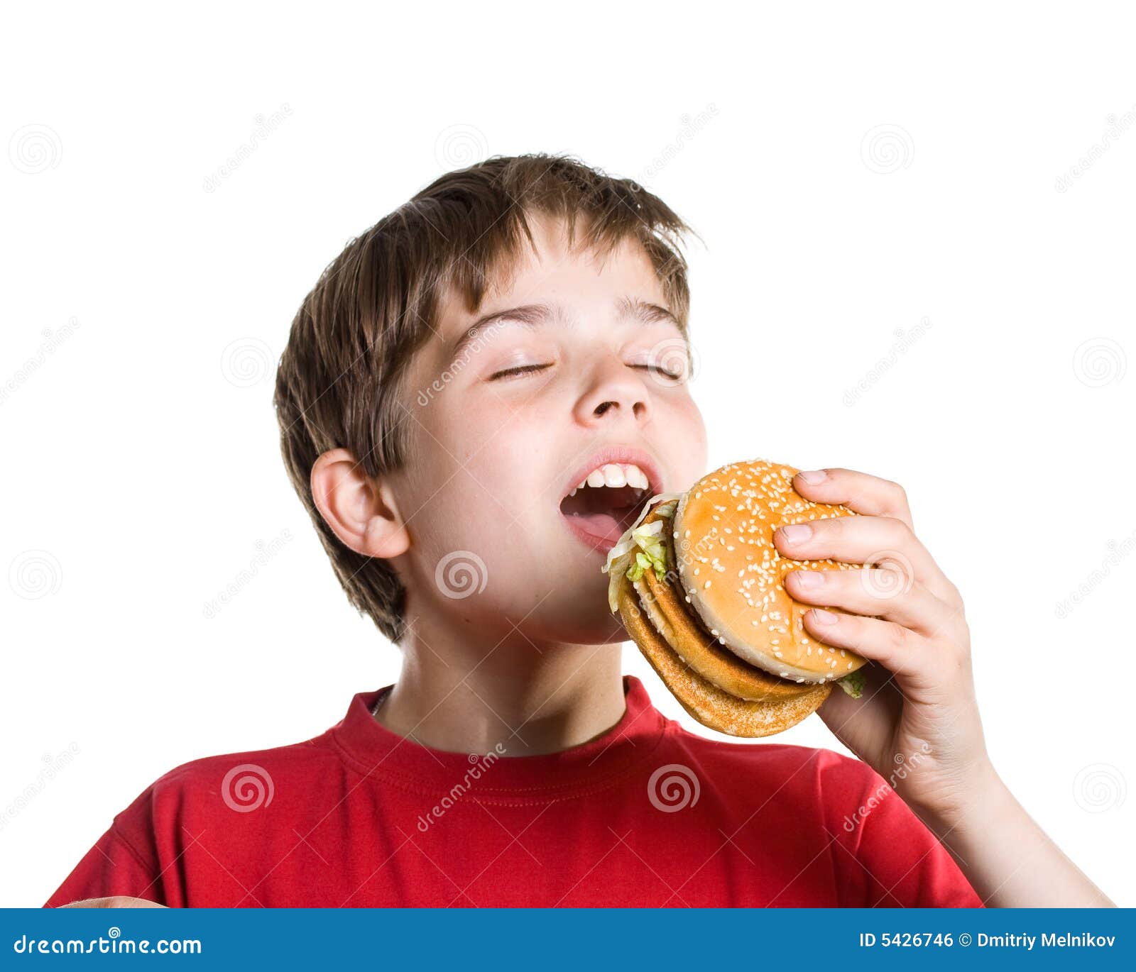 The Boy Eating a Hamburger. Stock Photo - Image of health, lunch: 5426746