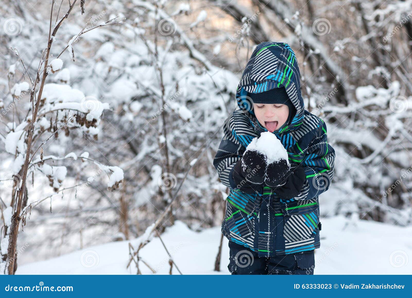 Boy eating the snow. stock image. Image of cold, portrait - 63333023