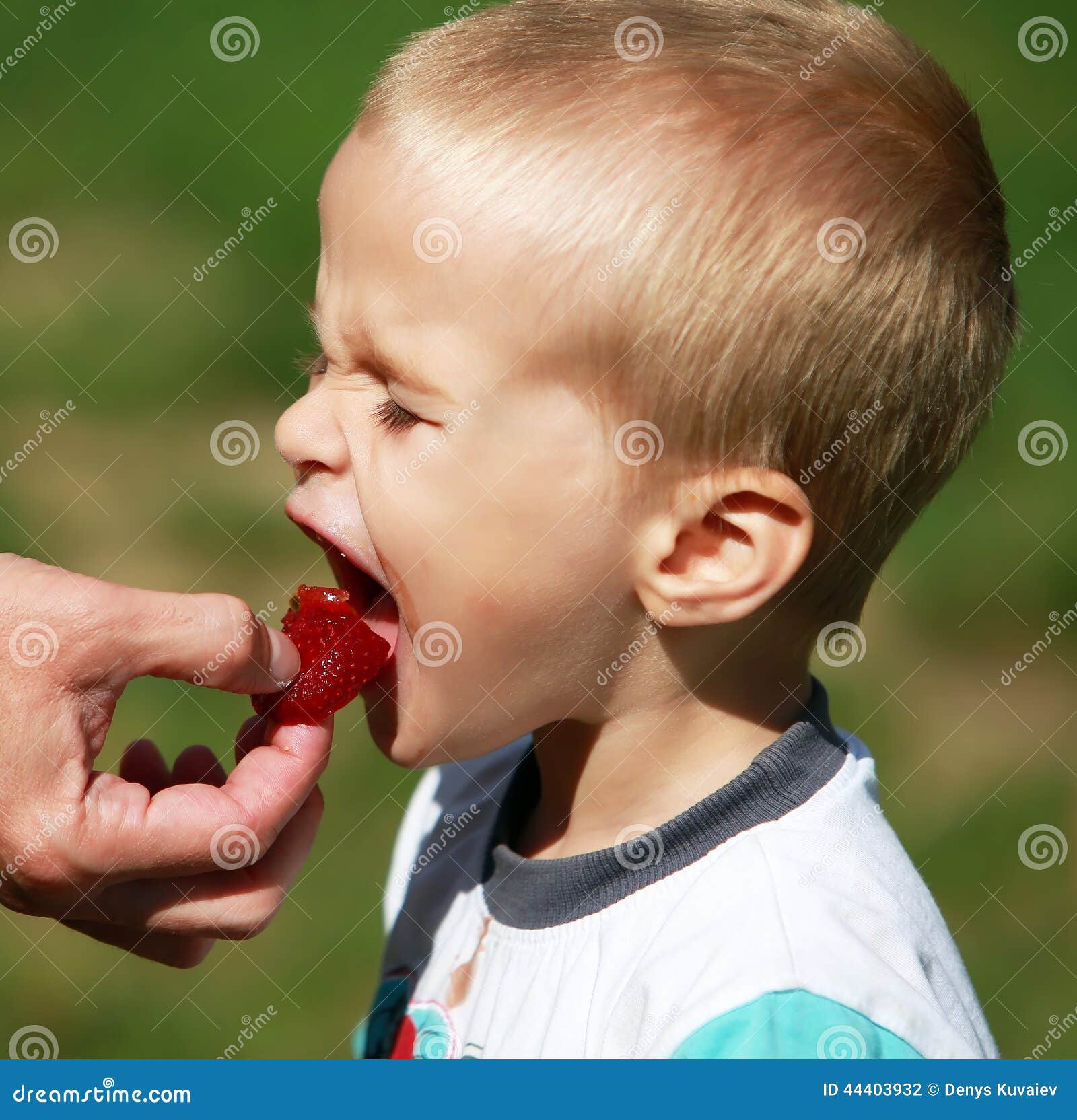 Boy eating strawberry stock photo. Image of fruit, child - 44403932