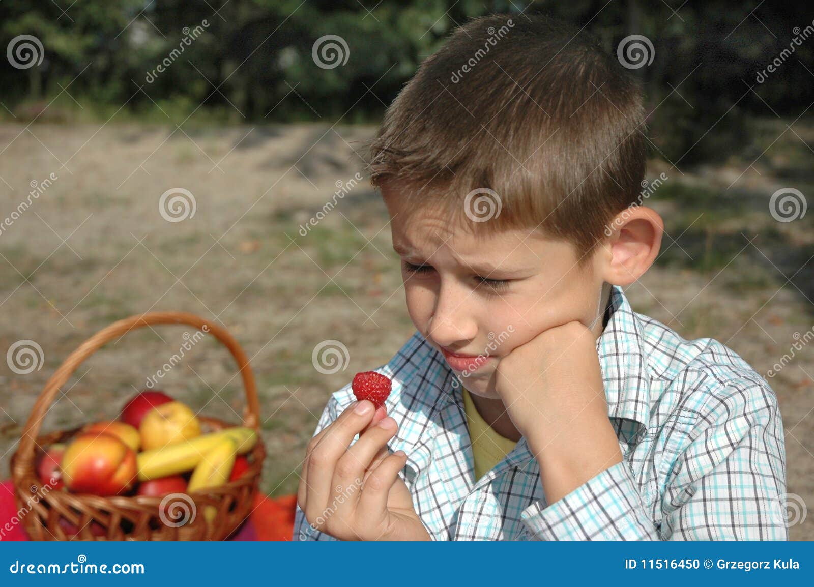 Boy eats raspberry stock photo. Image of raspberry, peach - 11516450