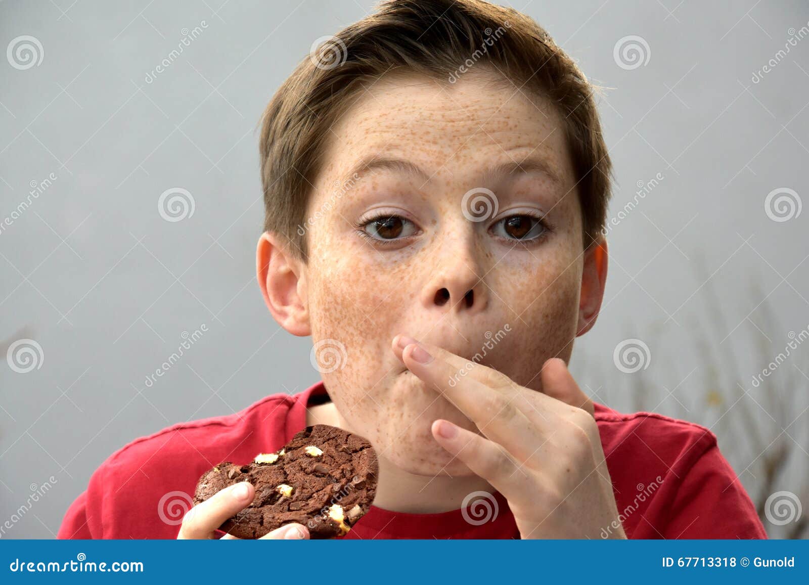 Boy enjoys pastry stock photo. Image of child, common - 67713318