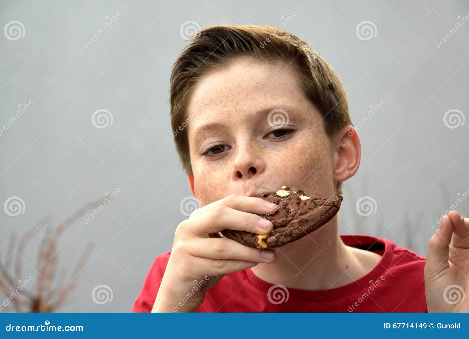 Boy enjoys pastry stock image. Image of flavor, happy - 67714149