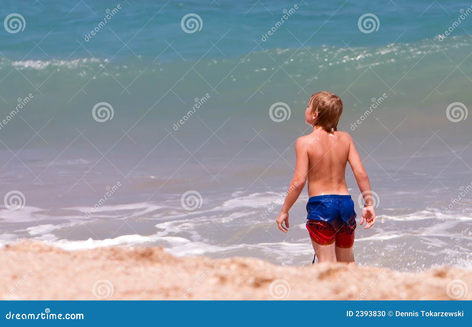 Boy exploring beach stock photo. Image of male, atlantic - 2393830 Boy exploring beach stock photo. Image of male, atlantic - 2393830