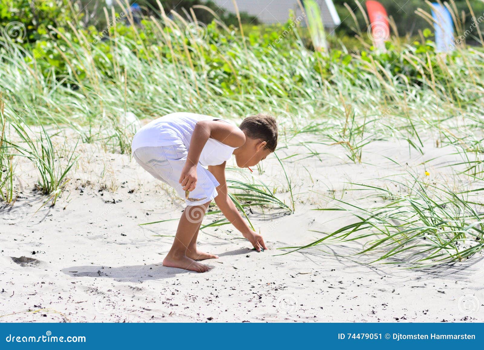 Boy exploring beach stock image. Image of female, full - 74479051
