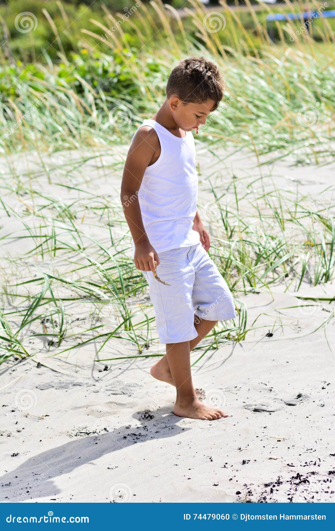Boy exploring beach stock photo. Image of daughter, camera - 74479060