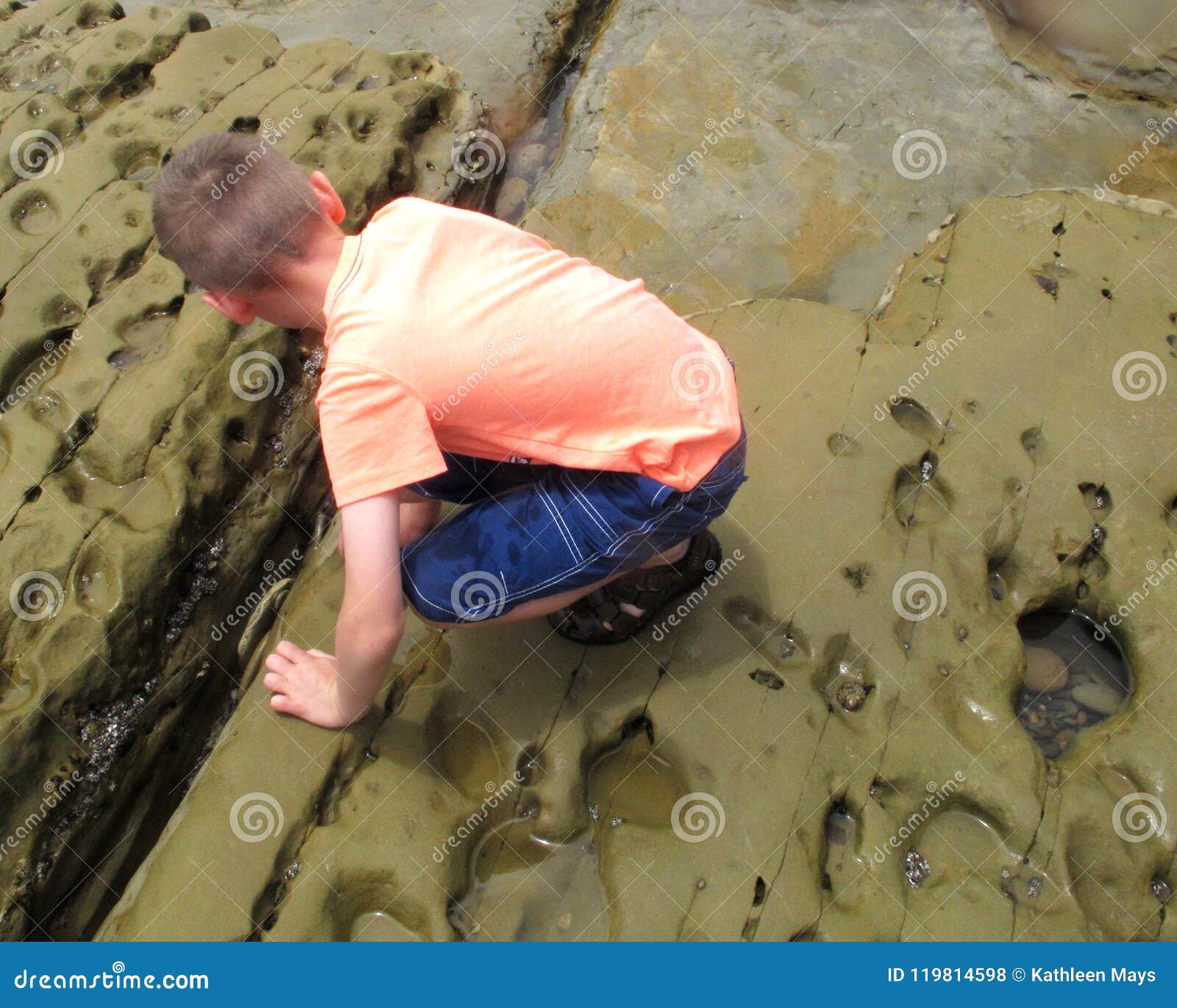 Boy Exploring on a Pacific Ocean Shore Stock Photo - Image of people ...