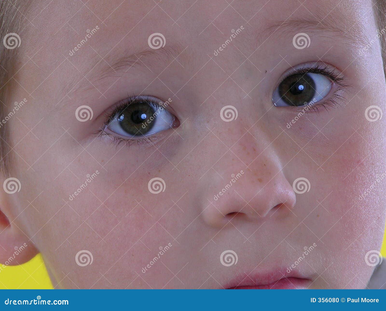 Boy Eyes stock photo. Image of kids, brown, youth, eyes - 356080