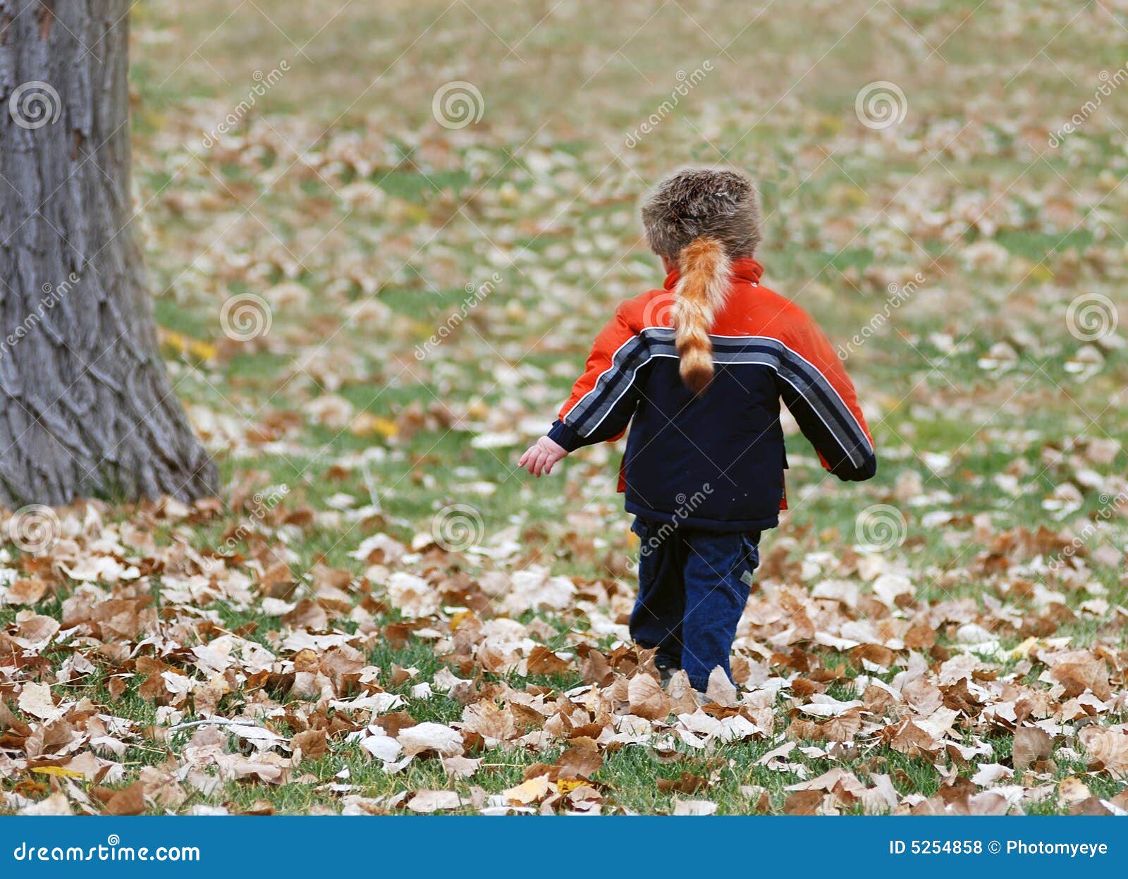 Boy in Fall Coonskin Cap stock photo. Image of youngster - 5254858