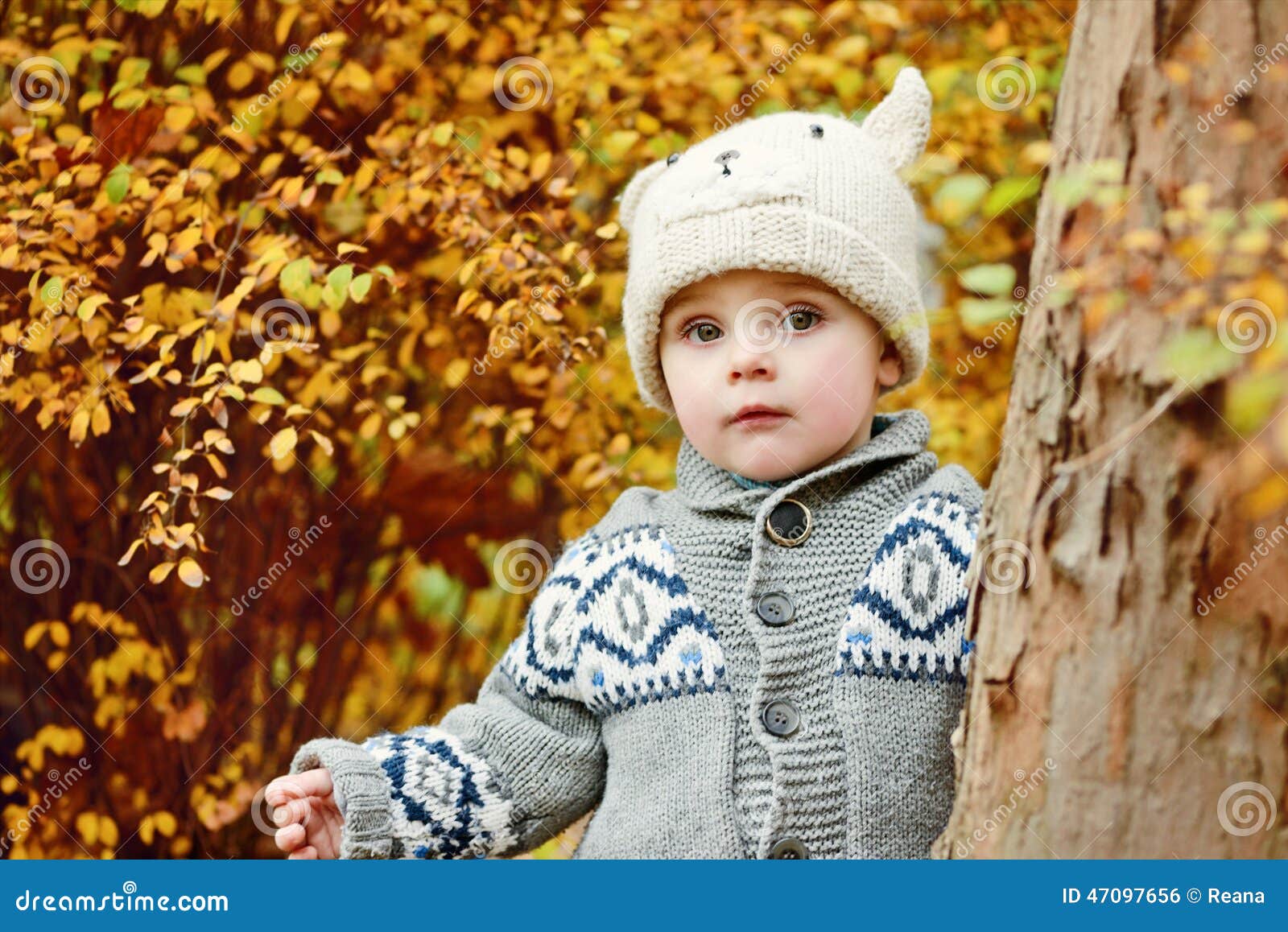 Boy in fall forest stock photo. Image of love, cute, hide - 47097656