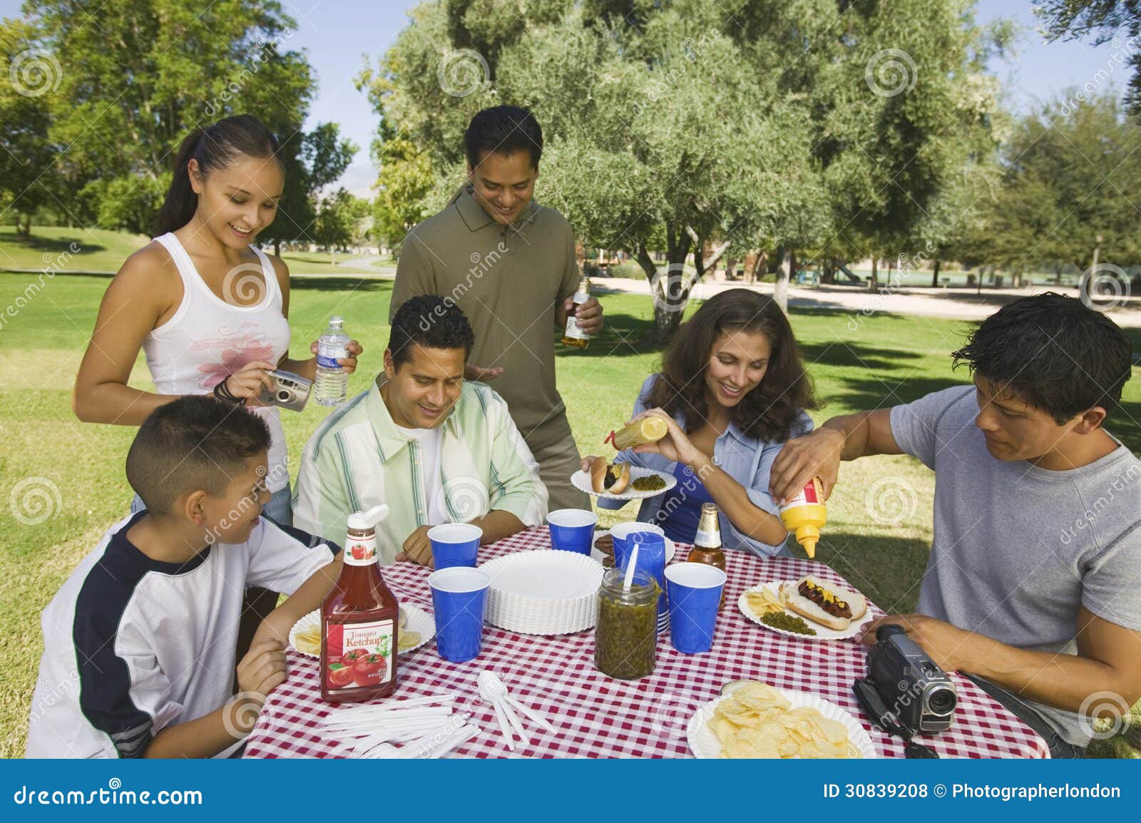 Boy (13-15) with Family at Picnic. Stock Photo - Image of casual ...