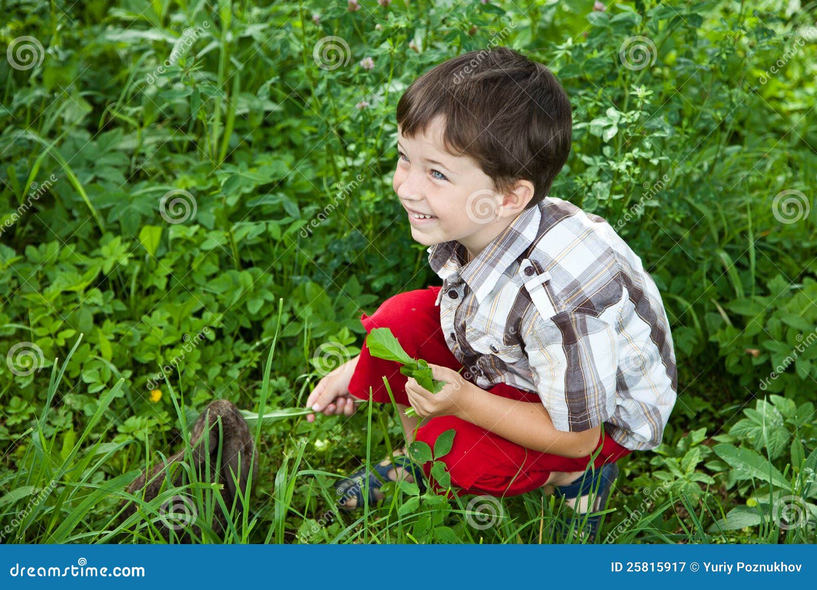 Boy Fed Rabbits in the Garden Stock Image - Image of meadow, care: 25815917