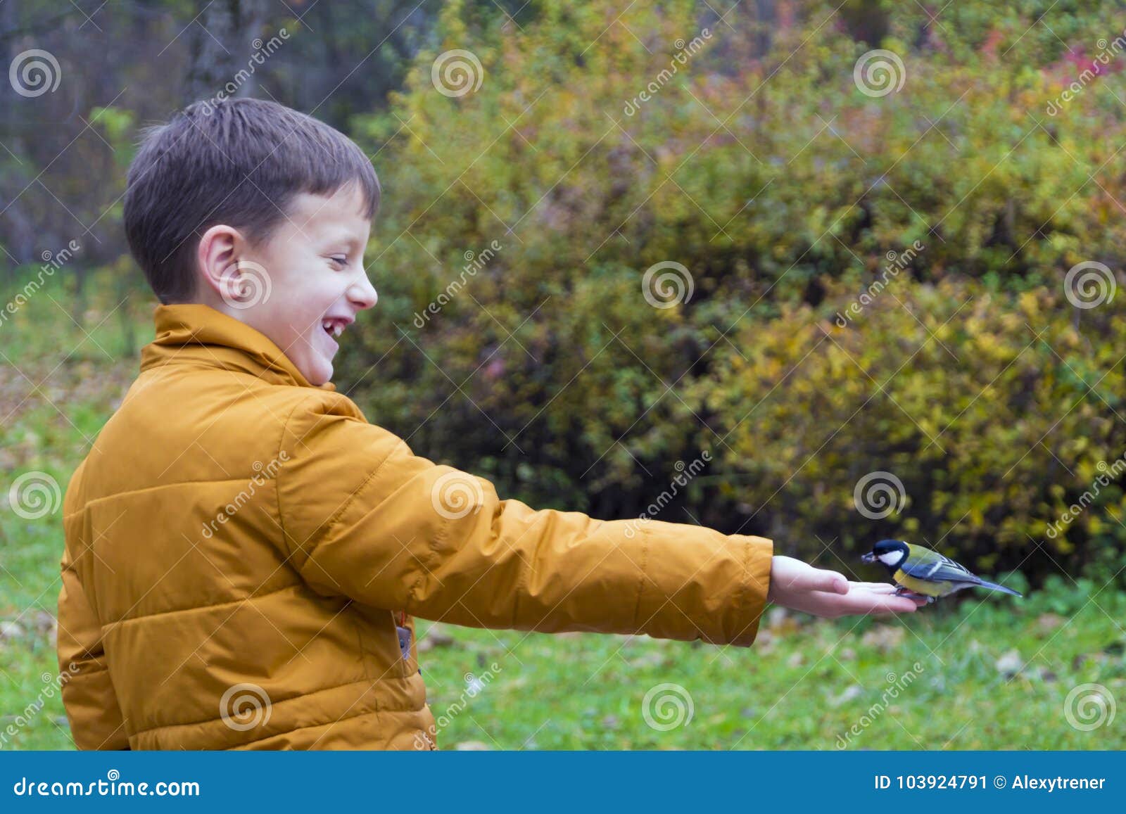 Smiling Boy Feed Tit Bird from Hand Stock Image - Image of palm ...