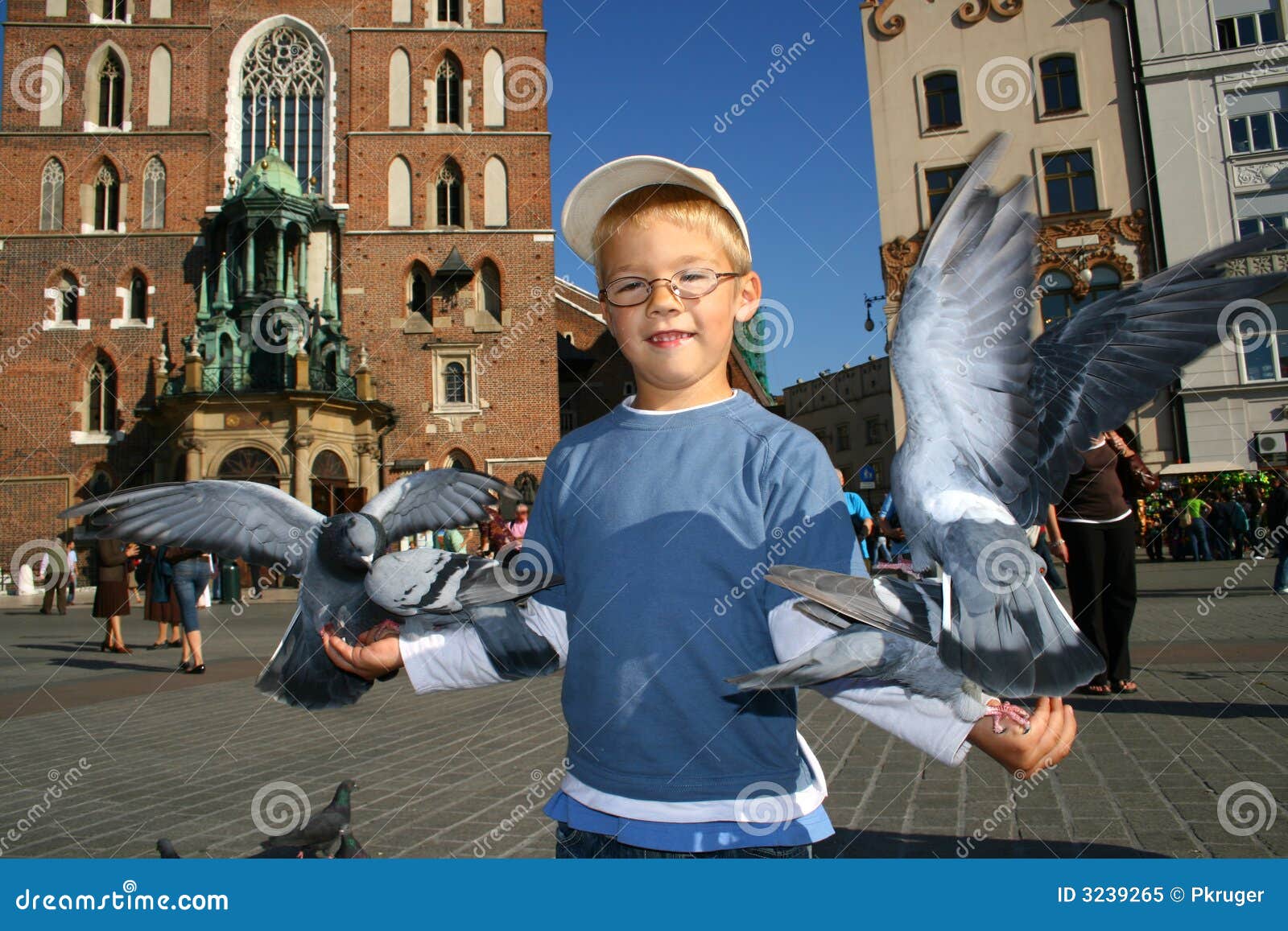 Boy is feeding the birds stock image. Image of food, gull - 3239265