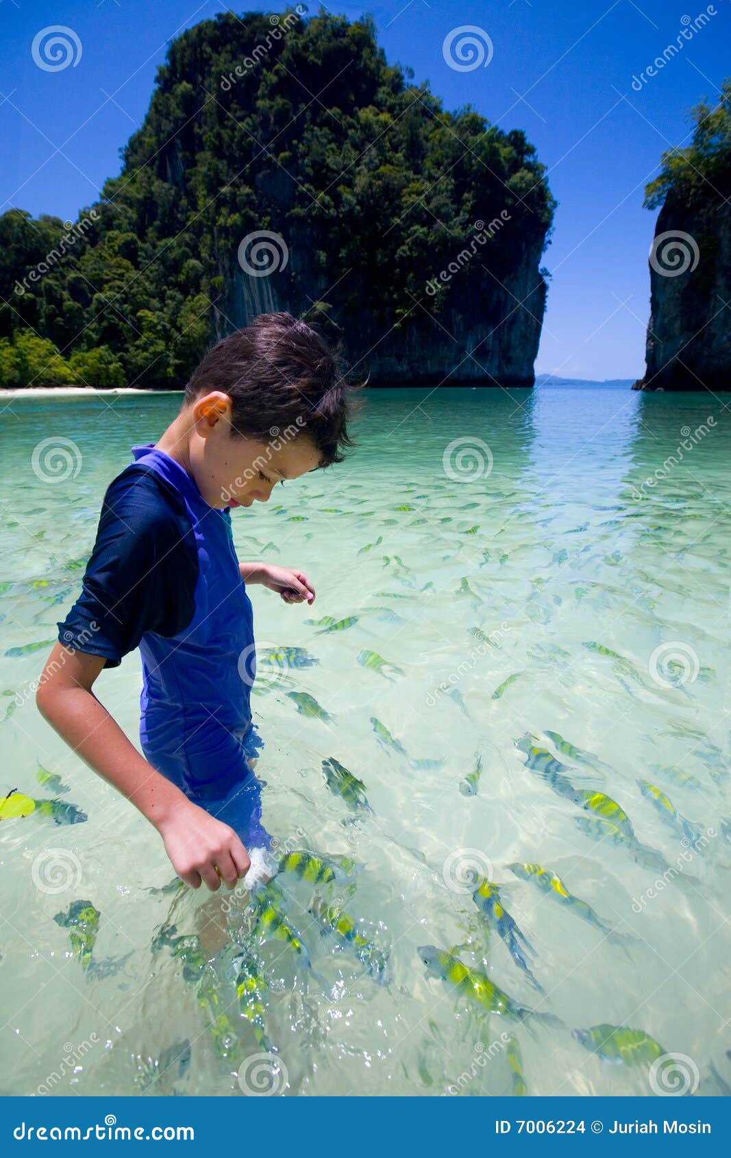 Boy Feeding Colorful Tropical Fish Stock Photo - Image of scenic, coast ...
