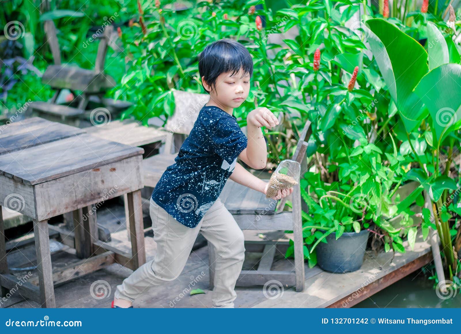 The Boy is Feeding the Fish. Stock Photo - Image of black, france ...