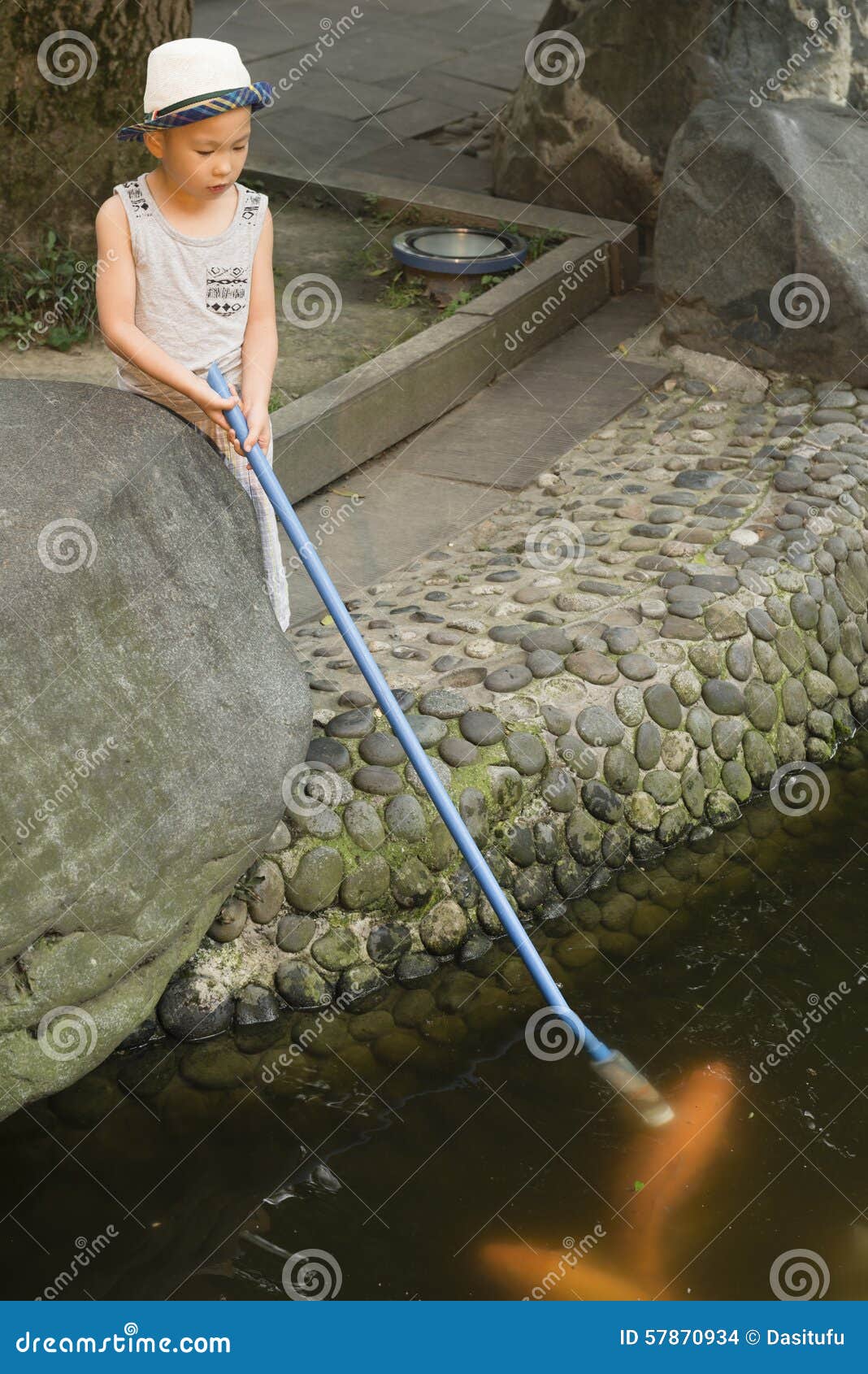Boy feeding fish stock photo. Image of childhood, child - 57870934