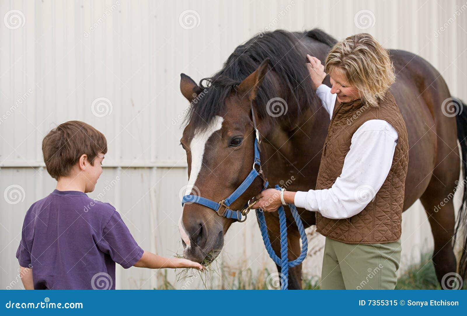 Stable Boy Clipart