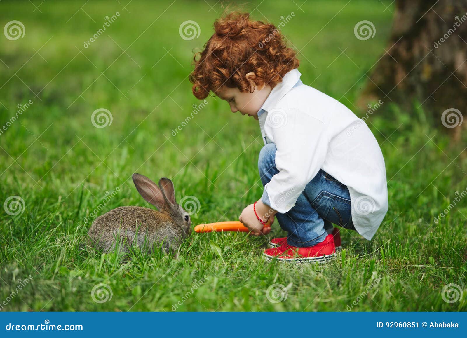 Boy Feeding Rabbit with Carrot in Park Stock Image - Image of little ...