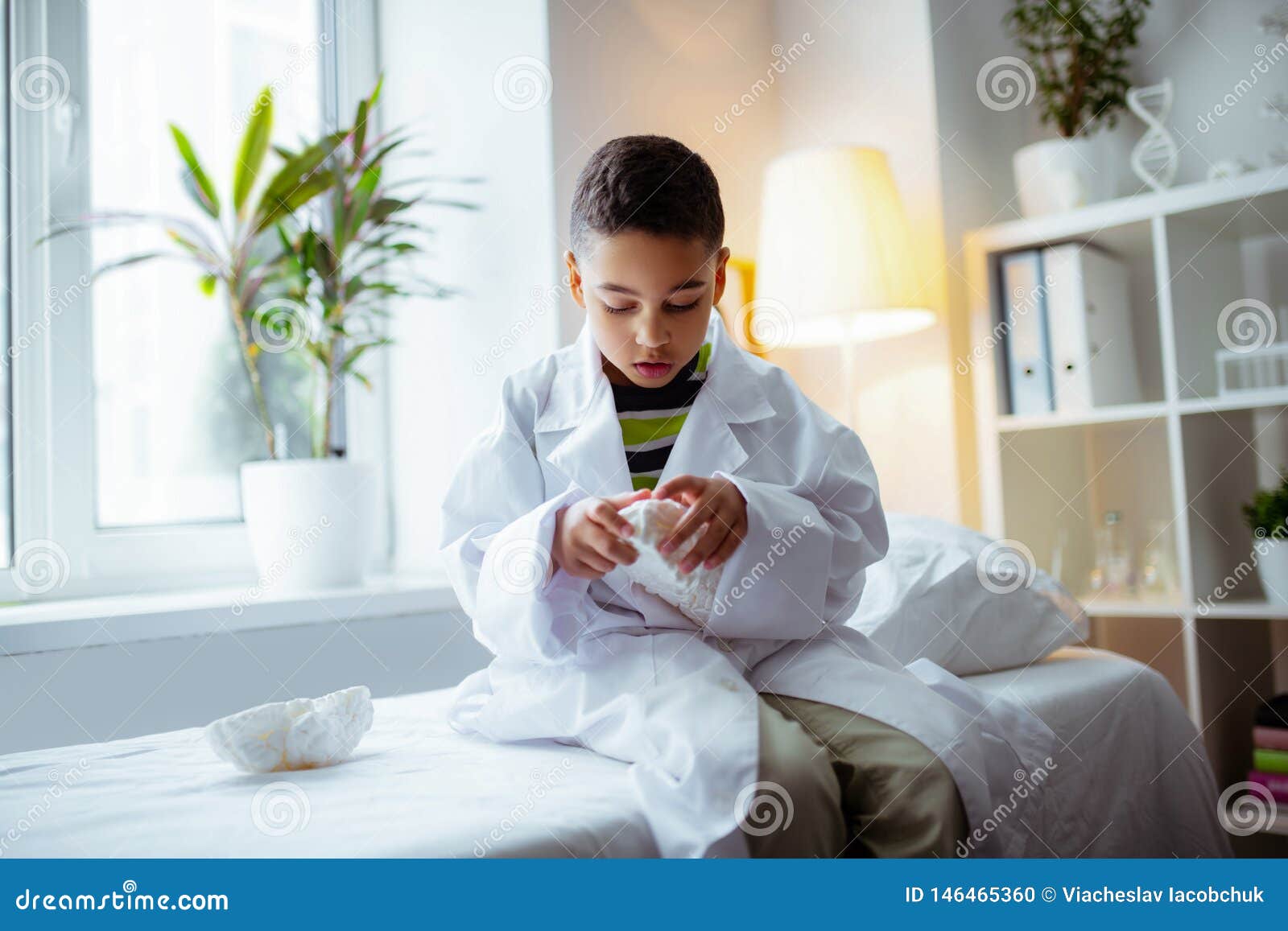 Boy Feeling Curious Playing with Model of Brain in Father Office Stock ...