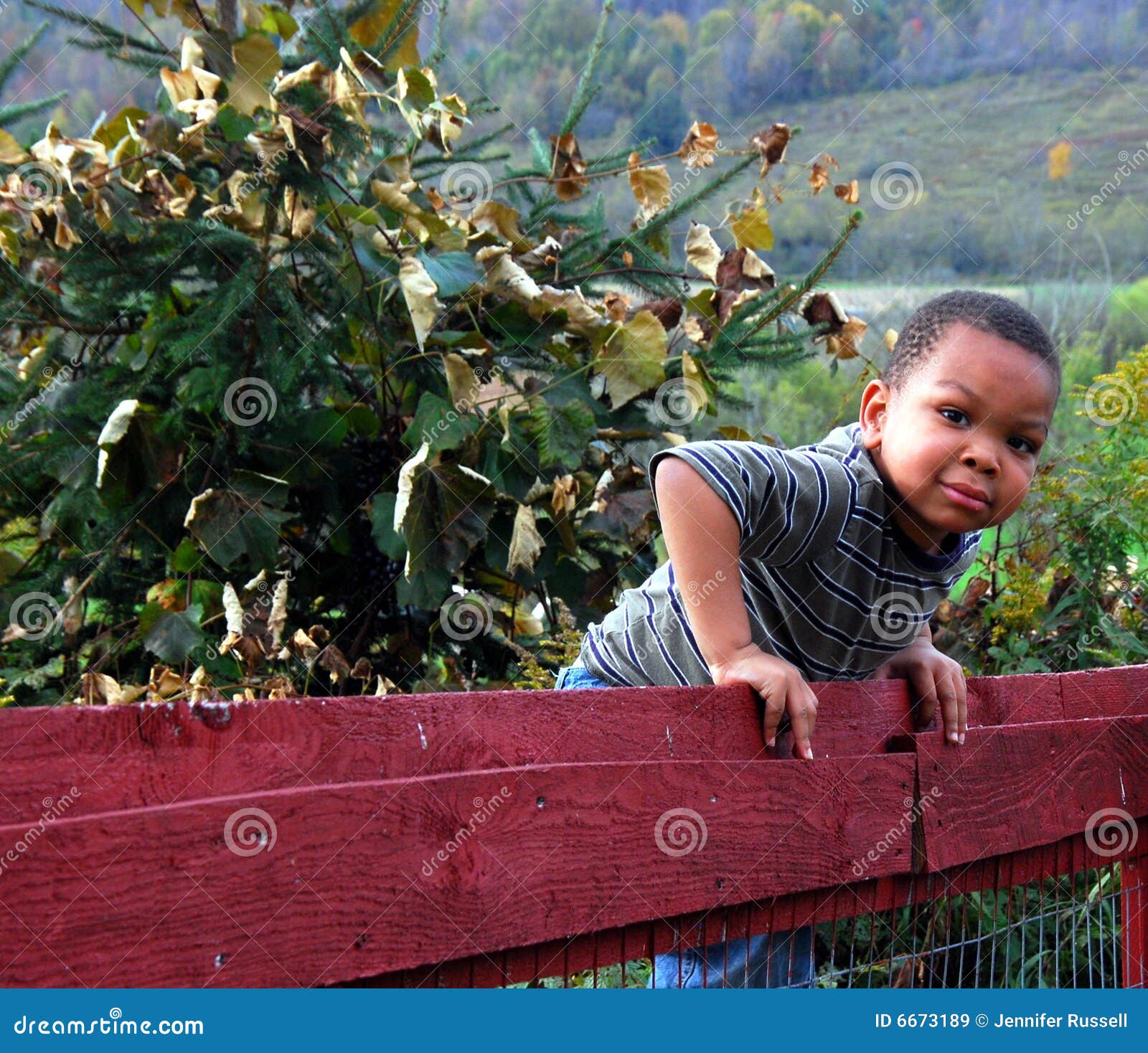 Boy on Fence stock image. Image of outdoors, daycare, adventure - 6673189