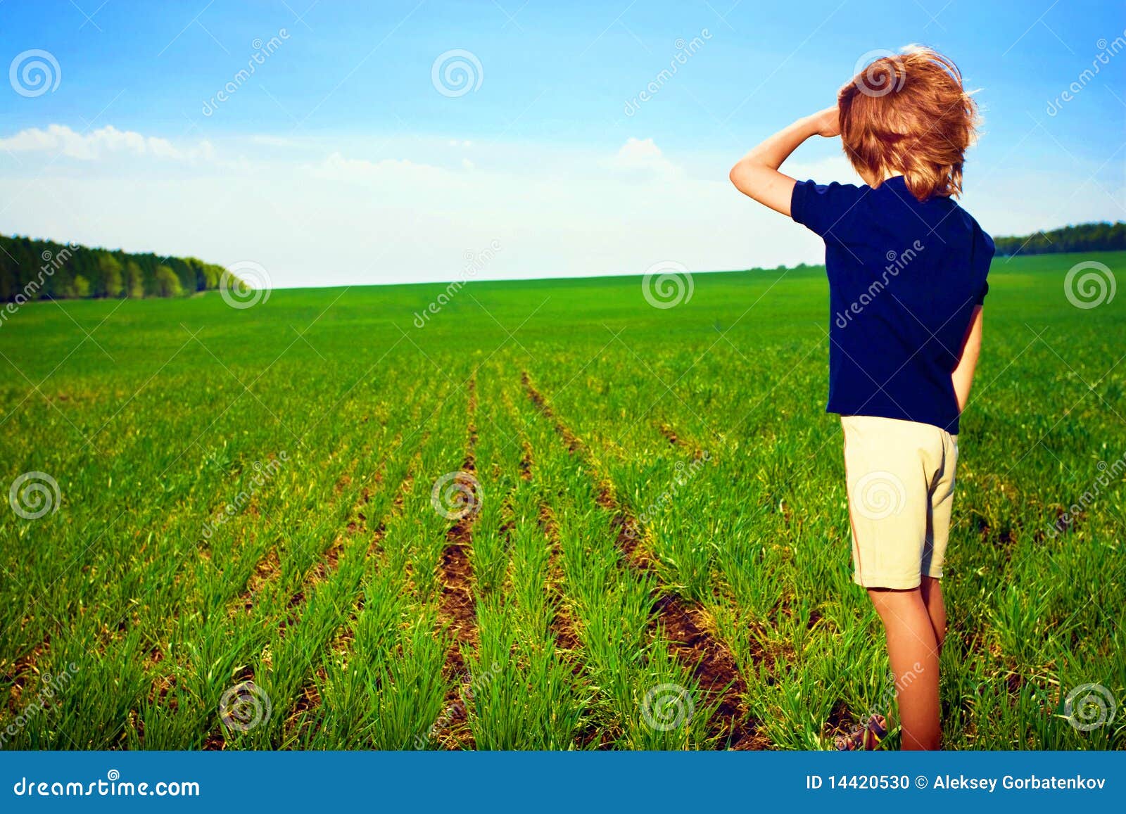 Boy in field stock photo. Image of brightly, happiness - 14420530