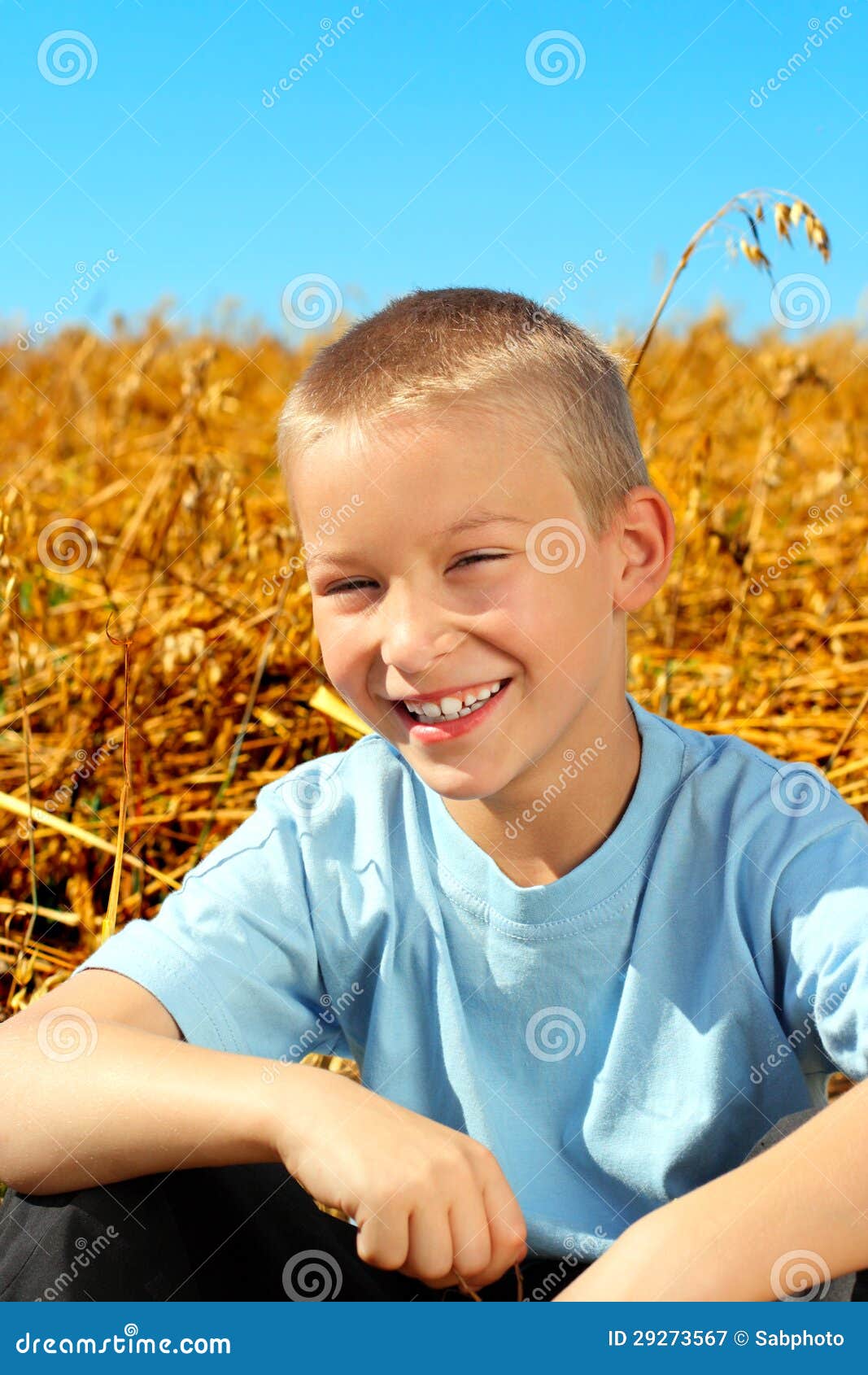 Boy in the Field stock image. Image of childhood, shirt - 29273567
