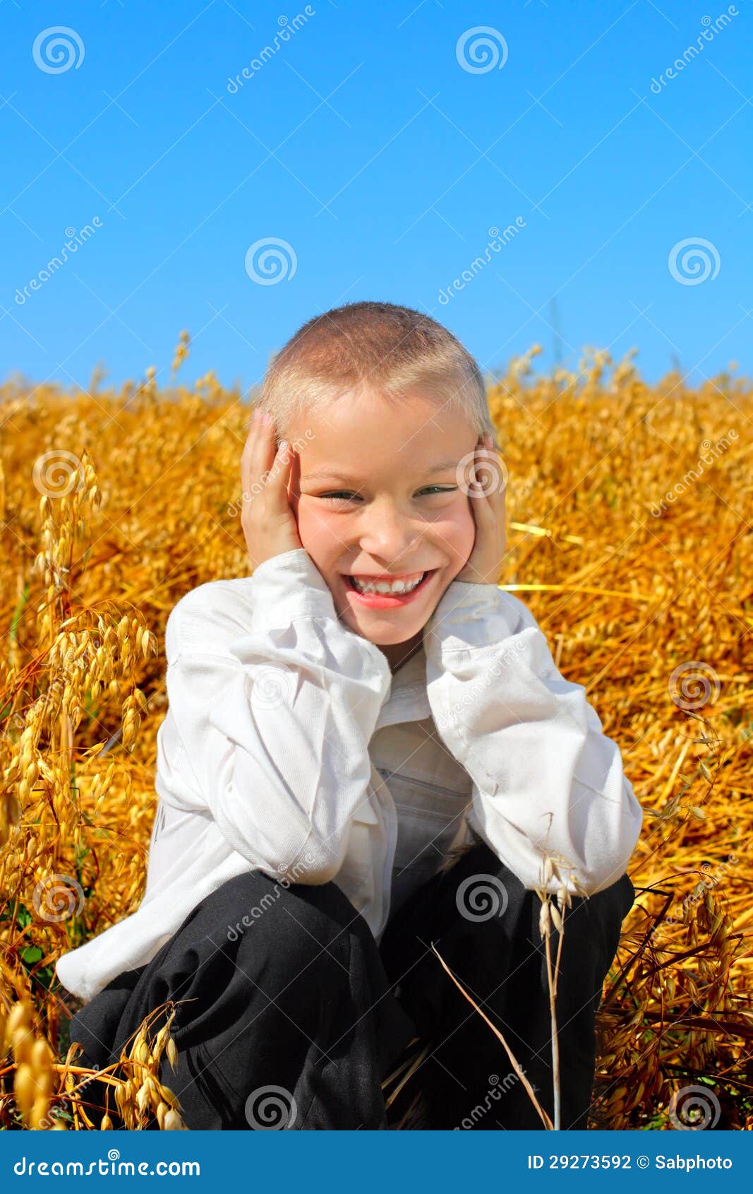 Boy in the Field stock photo. Image of little, amusing - 29273592