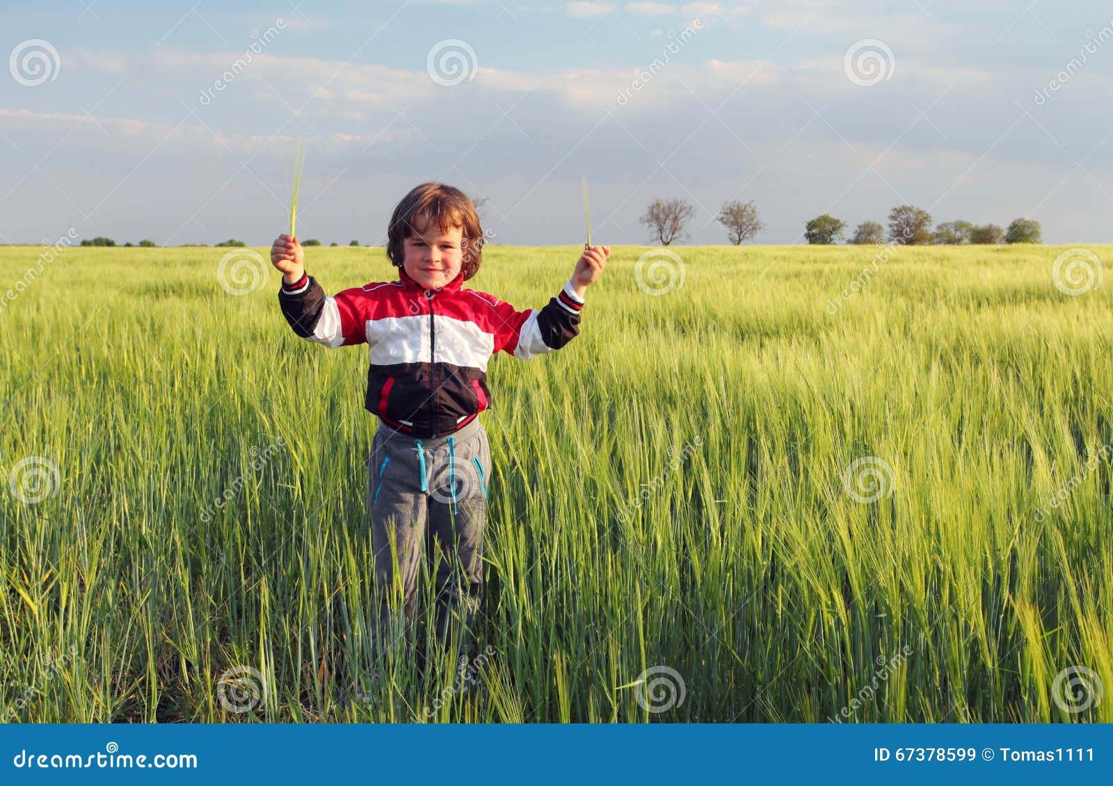 Boy in field, Child stock image. Image of child, grass - 67378599