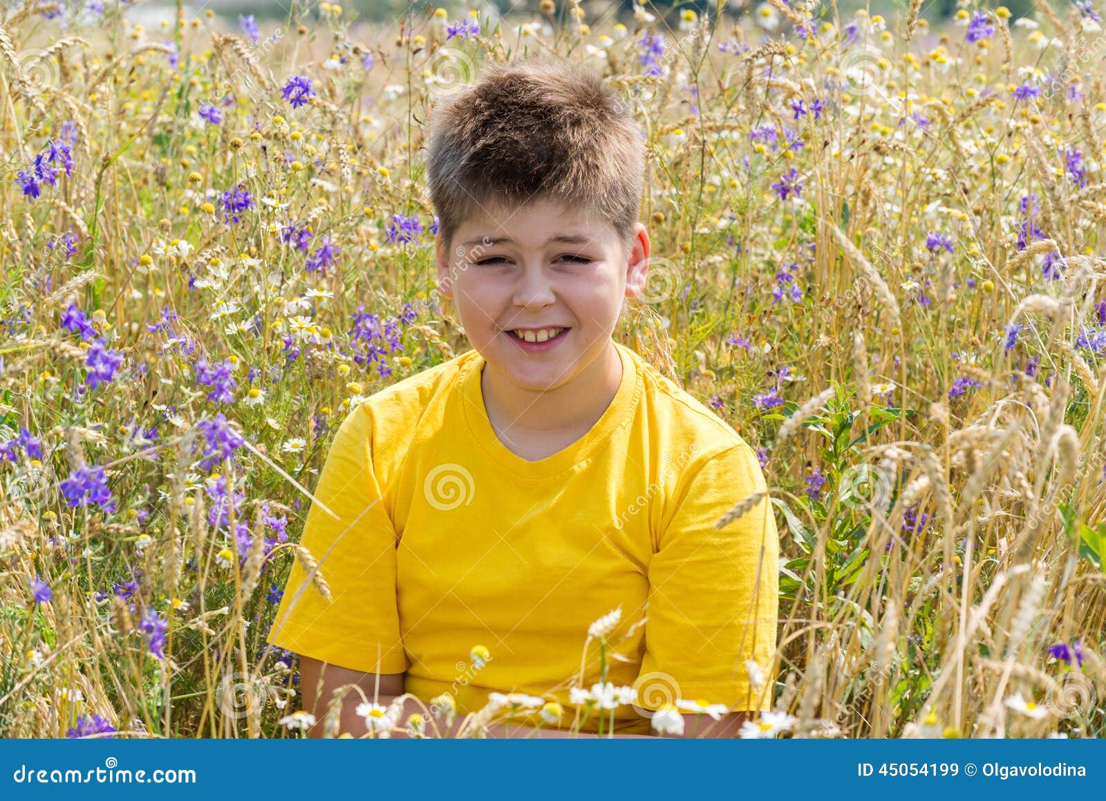 Boy in a Field with Flowers Stock Image - Image of nonurban, people ...