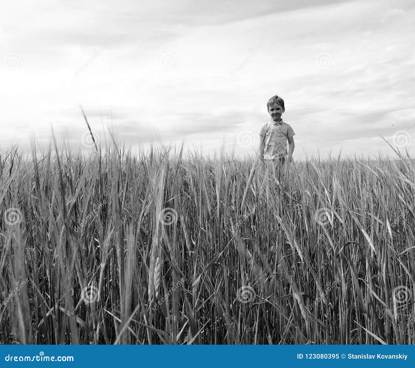 Boy on the field of rye. stock image. Image of village - 123080395