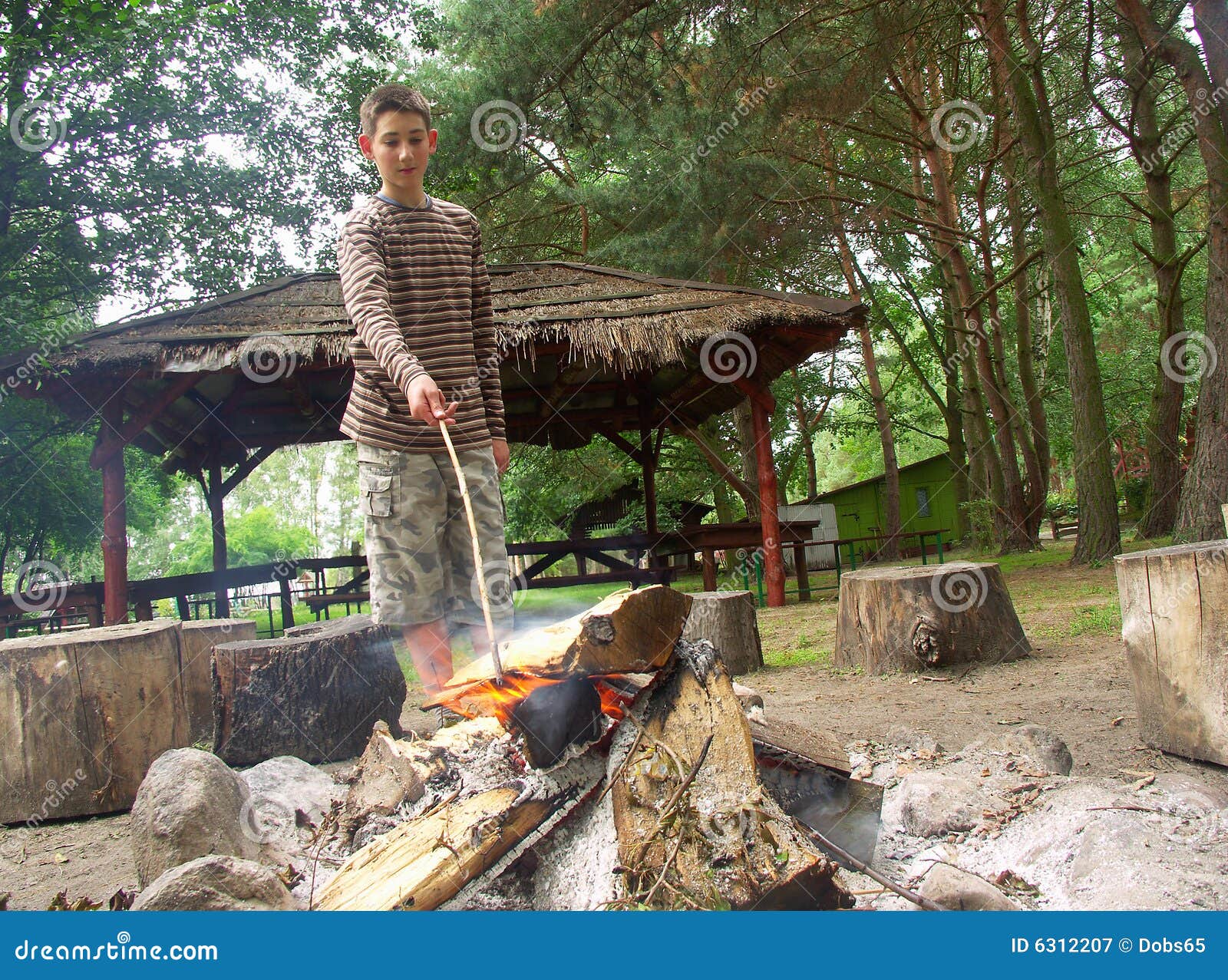 Boy by the fire stock image. Image of wood, bonfire, camp - 6312207