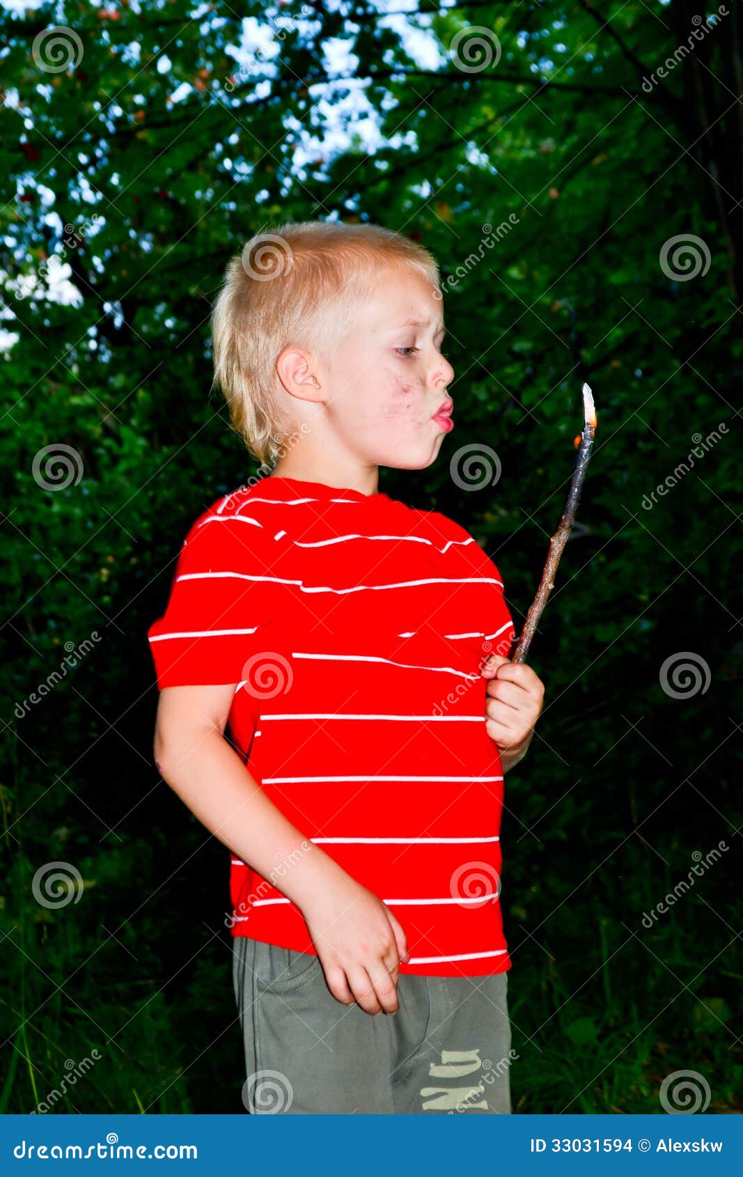 A boy and a fire stock photo. Image of picnic, holiday - 33031594