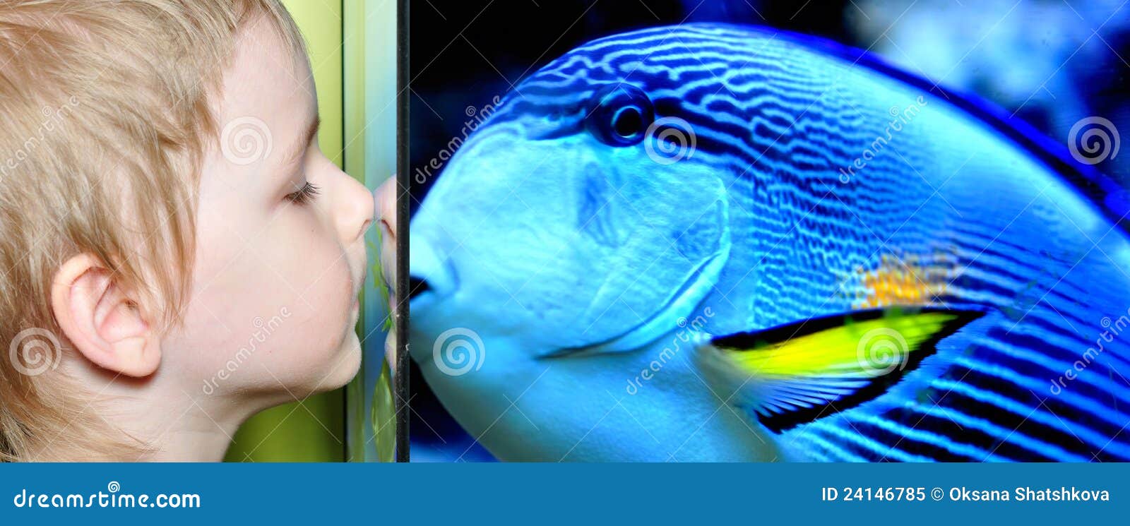 Boy and fish stock image. Image of water, child, coral - 24146785