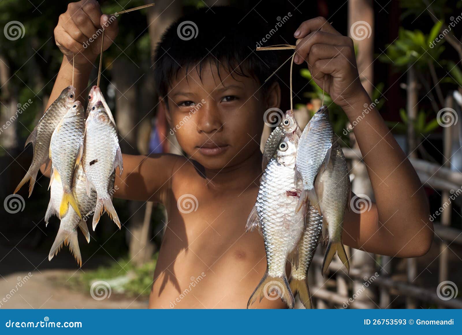 Boy and fish editorial stock photo. Image of child, fresh - 26753593